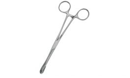 Rampleys Forceps 19cm